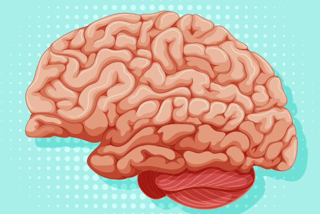 Wat is apraxie? symptomen, oorzaken en behandelingen uitgelegd